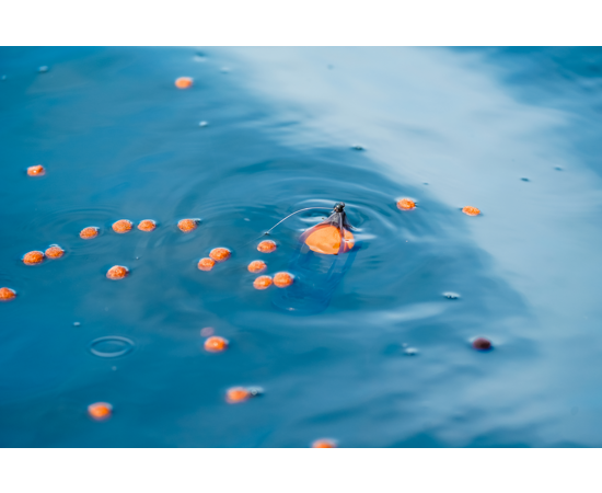 Korum Surface Feeder Float • NEXT DAY DELIVERY • TT