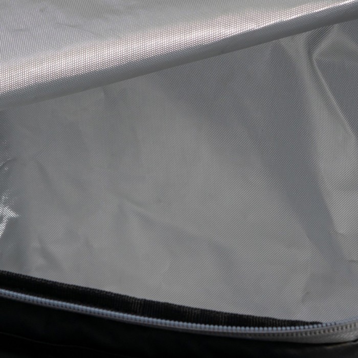 Team Guru Cool Bag • NEXT DAY DELIVERY • TT