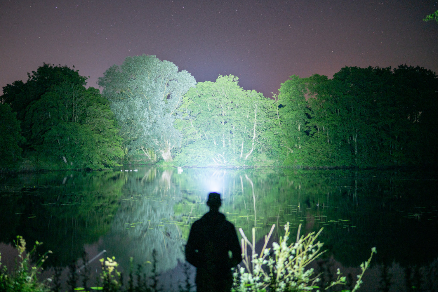 Nash Powerbanx Mega Lite Head Torch • NEXT DAY DELIVERY • TT